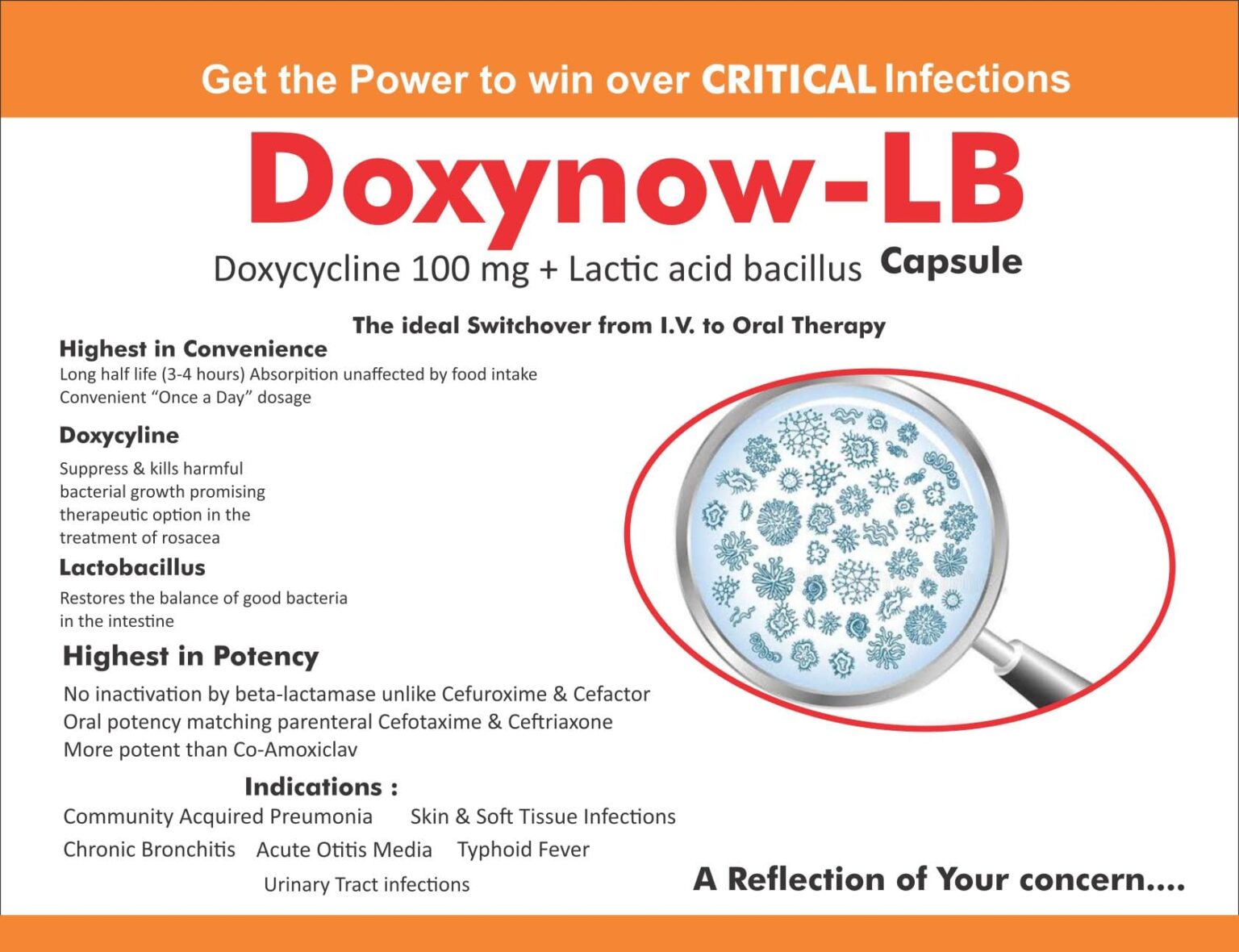 Doxycycline + Lactic Acid Bacillus Capsules Manufacturer, Supplier and ...